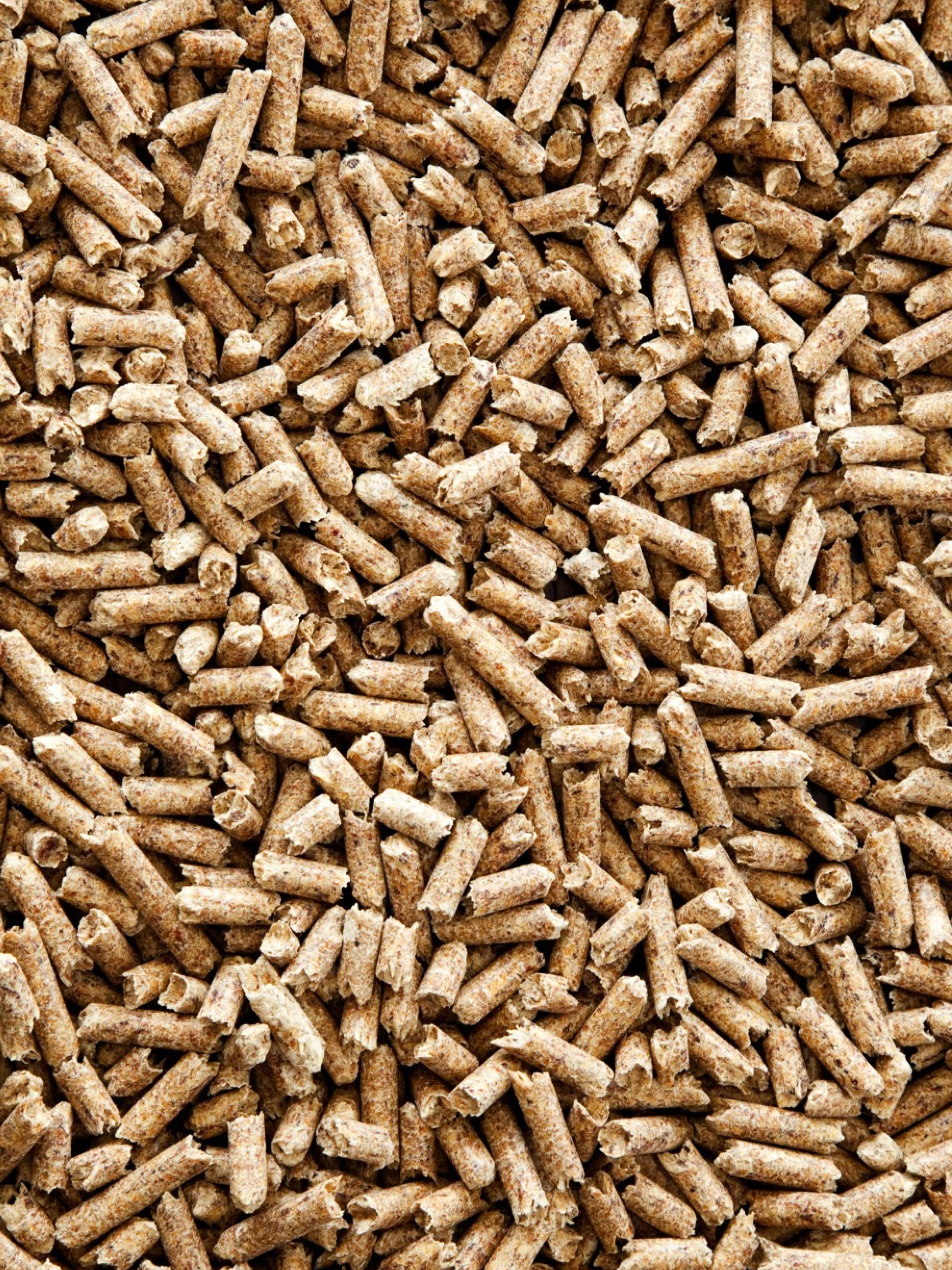 Bag of Pellets | Patiofyre